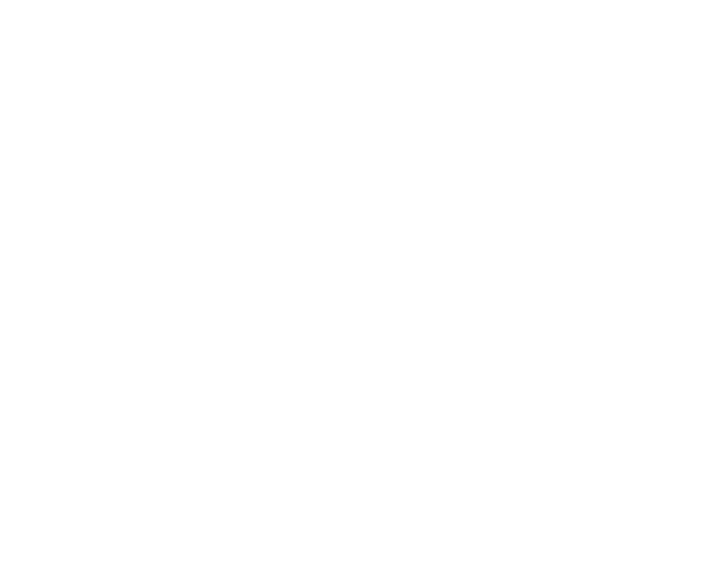 Hida - Giraudi Meats