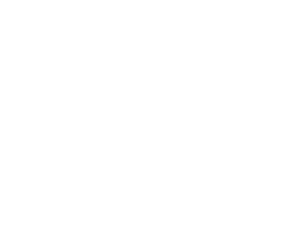 Hida - Giraudi Meats